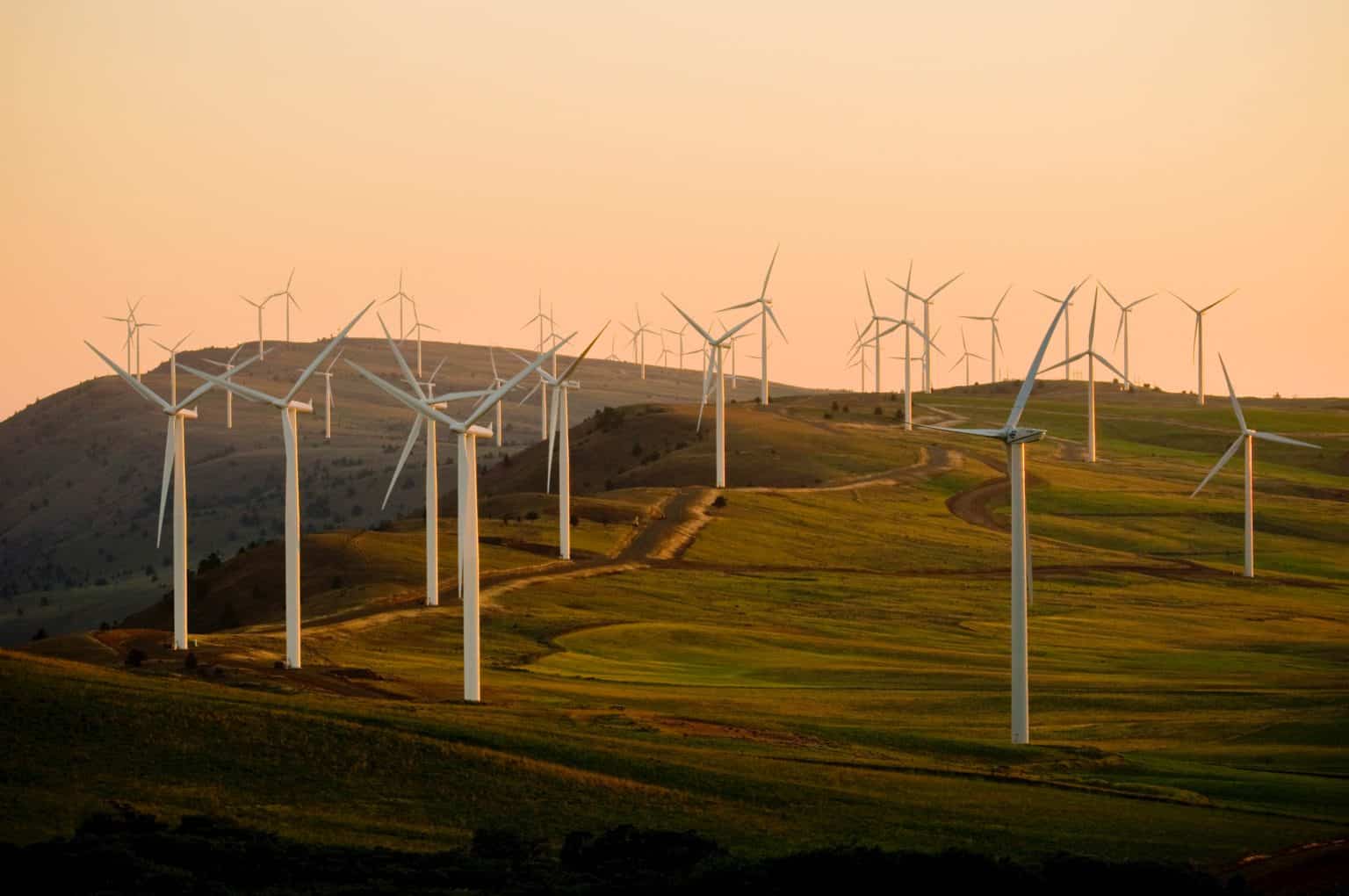 The Pros and Cons of Wind Power Examined - What You Should Know